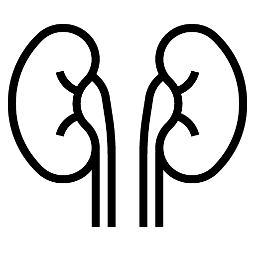 kidney-medical-organs-hospital-human – Dr. Ishank Goel